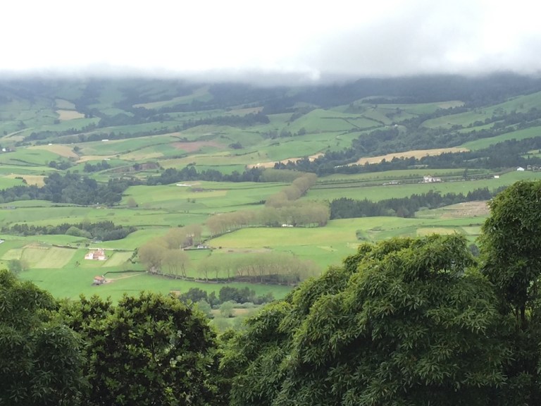 Basque – The Basque Wife